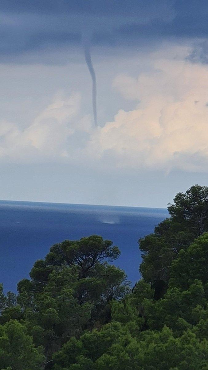 Captan un cap de fibló cerca de es Vedrà
