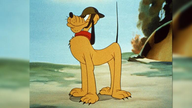 Pluto, la traviesa mascota de Mickey Mouse, fue real y se paseó por España