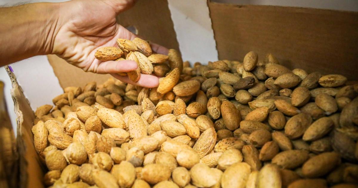 Frutos secos: son una fuente nutritiva