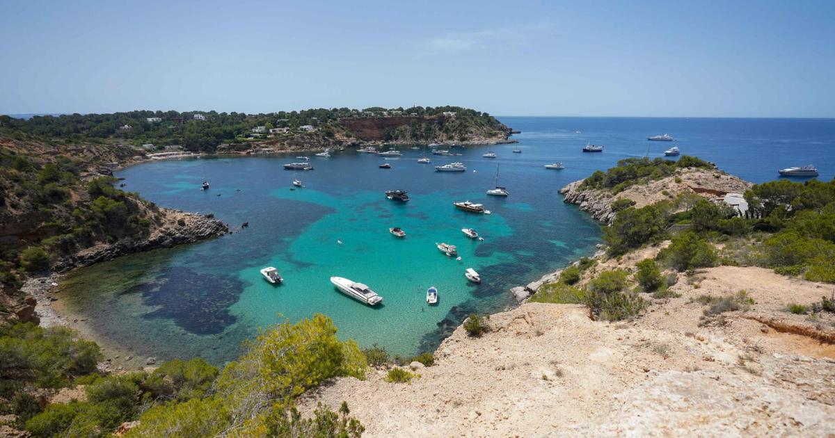Campo de boyas ecológicas en Porroig y Cala d'Hort