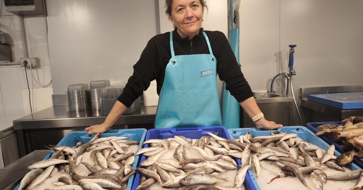 El 'gerret', el gran protagonista en las pescaderías