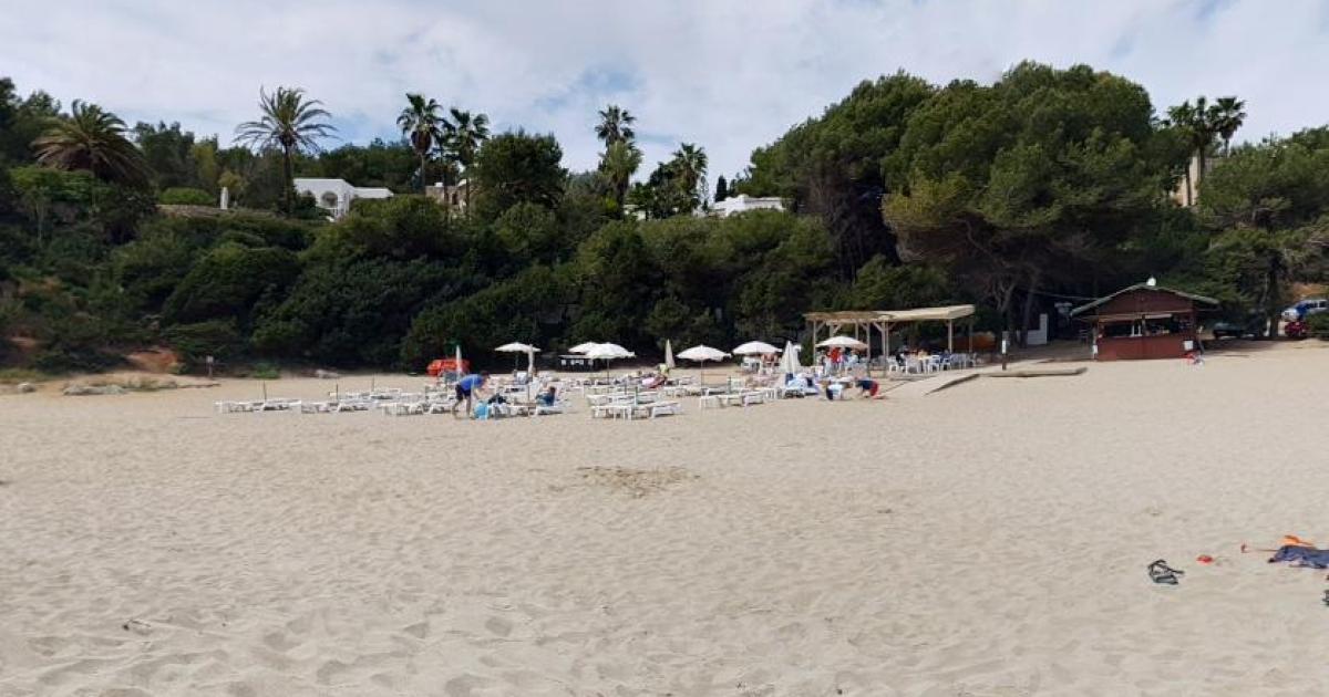 Respuesta a la carta al director enviada por Dr. Sarah Crofton el día ...