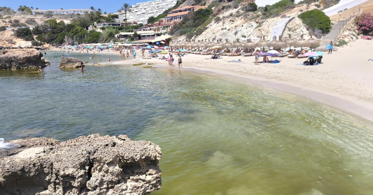 Neighbours and shopkeepers of Cala Tarida explode against the green ...