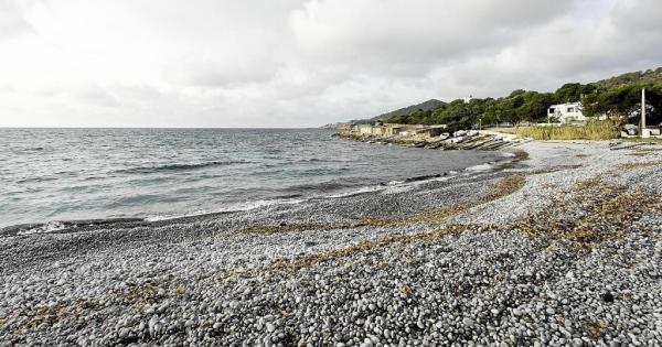 Excursión guíada para conocer todas las particularidades de la playa de ...