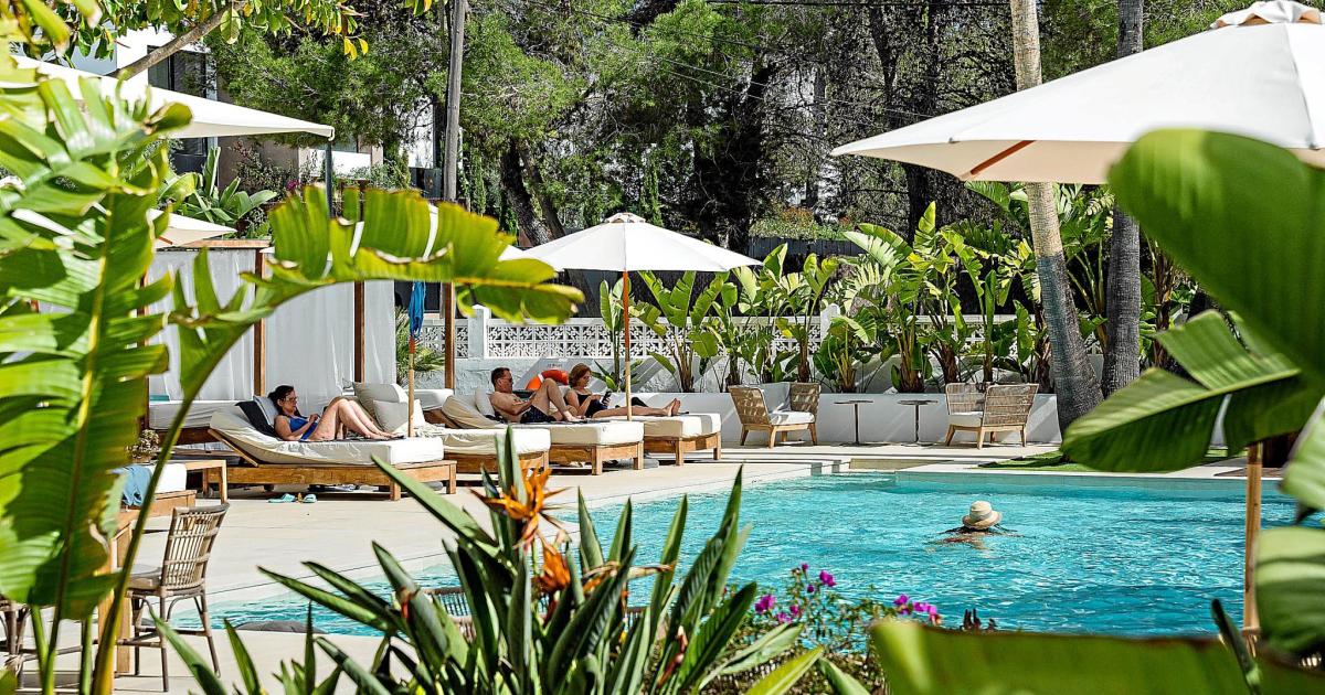 Hotel Boutique & Spa Las Mimosas: un oasis de calma en la Ibiza más ...